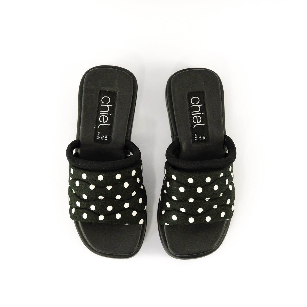 SELENA POLKA – Chiel